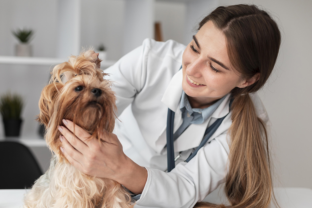 Doctor of Veterinary Medicine Studies (DVM Degree, 5 Years)